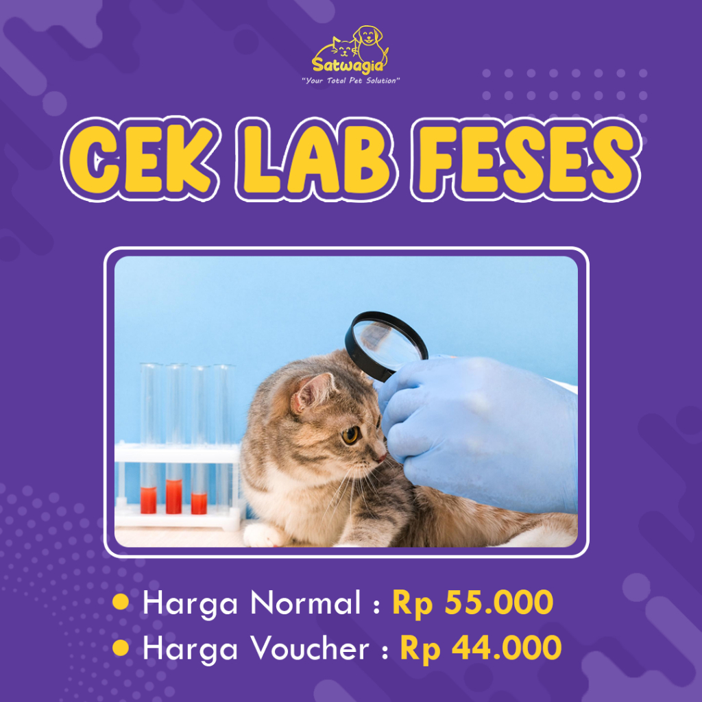 Jual Layanan Cek LAB FESES Hanya diklinik Hewan Satwagia | Shopee Indonesia