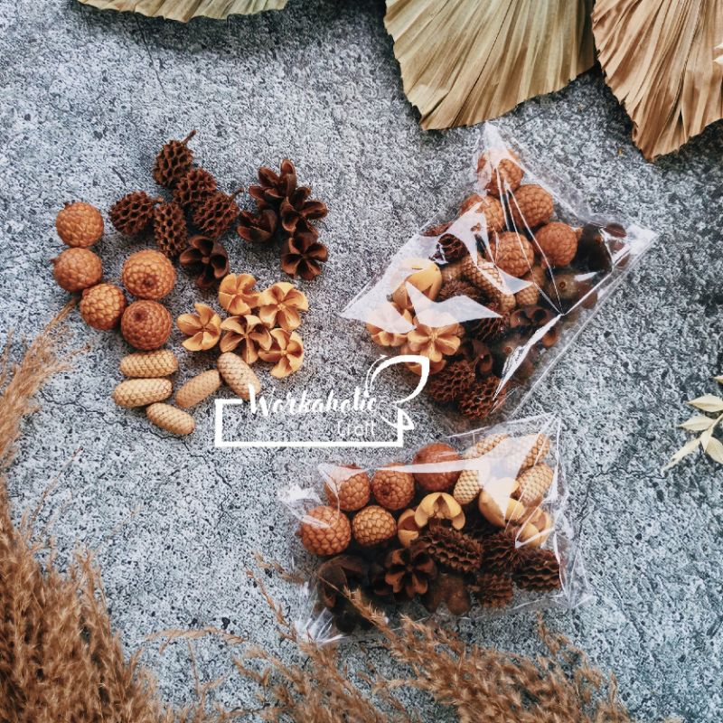 Jual Biji-bijian Rustic Biji Bunga Kering Hiasan Mahar Aesthetic ...