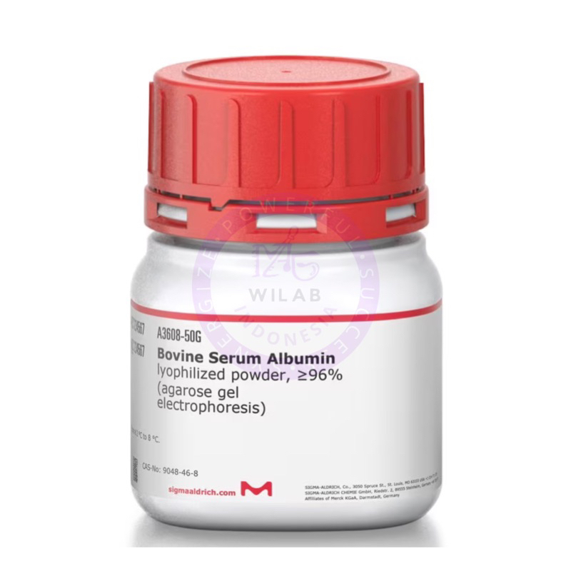 Jual Bovine Serum Albumin lyophilized powder, ≥96% SIGMA 10 GRAM ...