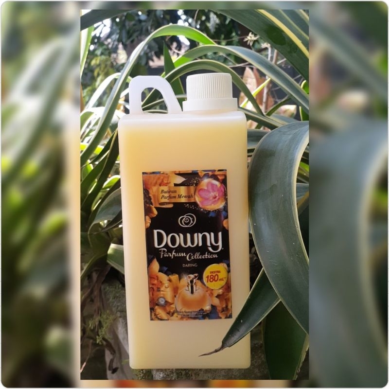 Jual DOWNY parfum collection/1 liter | Shopee Indonesia