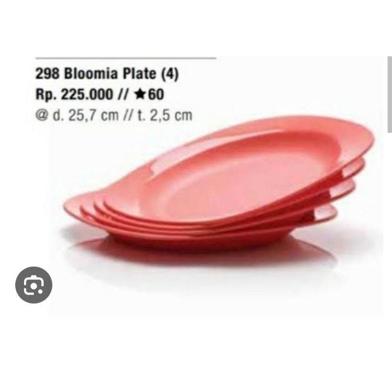 Jual Tupperware plate/piring makan 1set (4,,pcs) | Shopee Indonesia