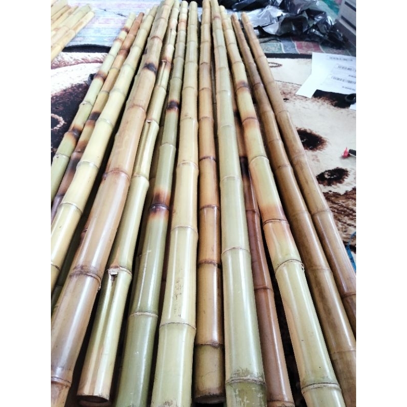 Jual bambu lurus tongkat Pramuka super | Shopee Indonesia