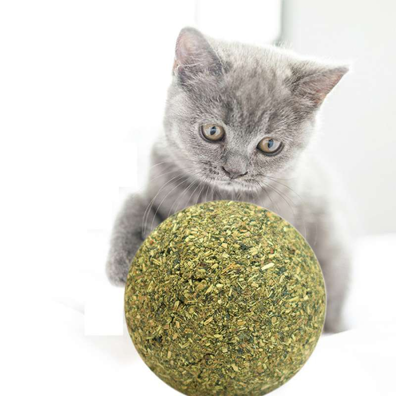 Jual Bola Catnip/ Mainan kucing/ Catnip Ball. | Shopee Indonesia Jual Bola Catnip/ Mainan kucing/ Catnip Ball. | Shopee Indonesia