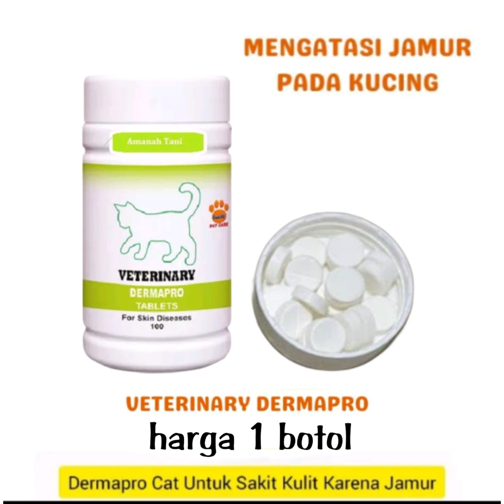 Jual Tablet Obat Sakit Kulit ringworm Anti Jamur Gatal Scabies Pada ...