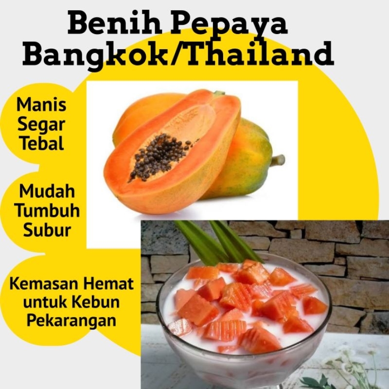 Jual Benih Pepaya Bangkok Thailand Manis Segar | Shopee Indonesia