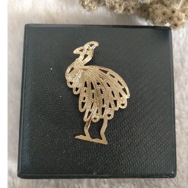 Jual Bros Burung kuwaru khaa manokwari papua uk 5 cm | Shopee Indonesia