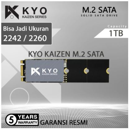 Jual SSD M2 SATA 1TB 2242 M.2 SATA / M2SATA KYO KAIZEN (GARANSI 5 TAHUN) | Shopee Indonesia