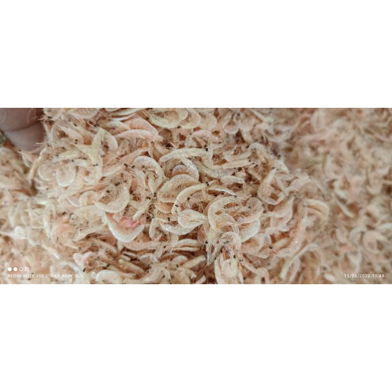 Jual IKAN ASIN REBON REBUS SUPER PREMIUM 250 Gram | Shopee Indonesia