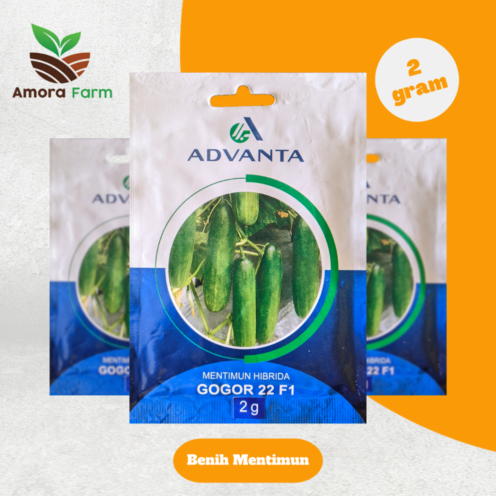 Jual Benih Bibit Mentimun Hibrida GOGOR 22 F1 2gr Advanta | Shopee Indonesia