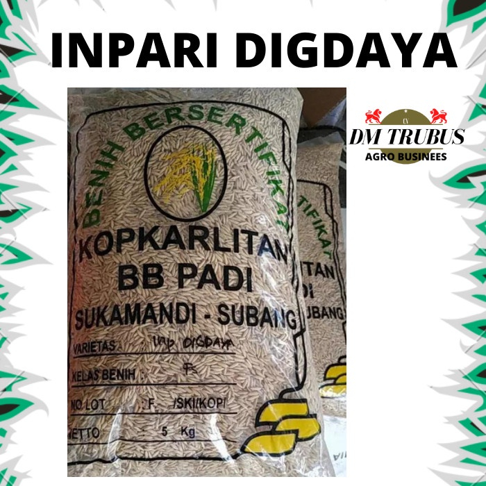 Jual Benih padi Inpari DIGDAYA LABEL UNGU BERAT 5KG | Shopee Indonesia