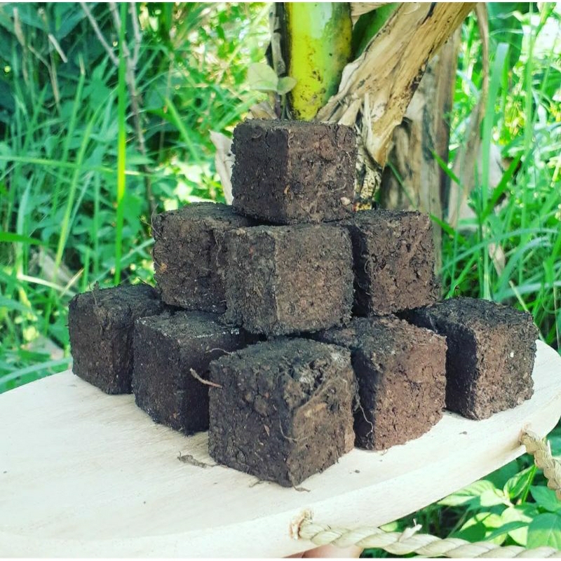 Jual Gambut blok/kotak peat moss (jiffy peat pellet)/Media Tanam ...