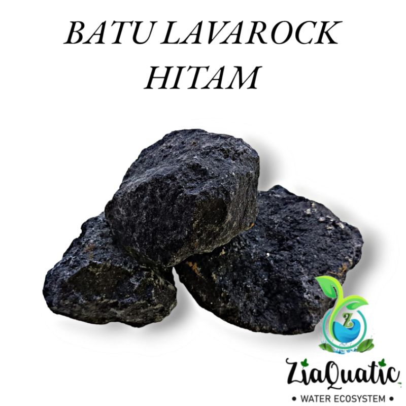 Jual Batu Aquascape/Black Lava Stone/Batu Lavarock Hitam/Hiasan ...