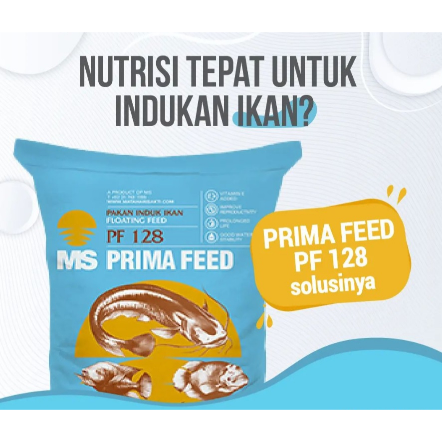 Jual Pakan Pelet Ikan Indukan MS PRIMA FEED PF128 10Kg Induk Nila Lele ...