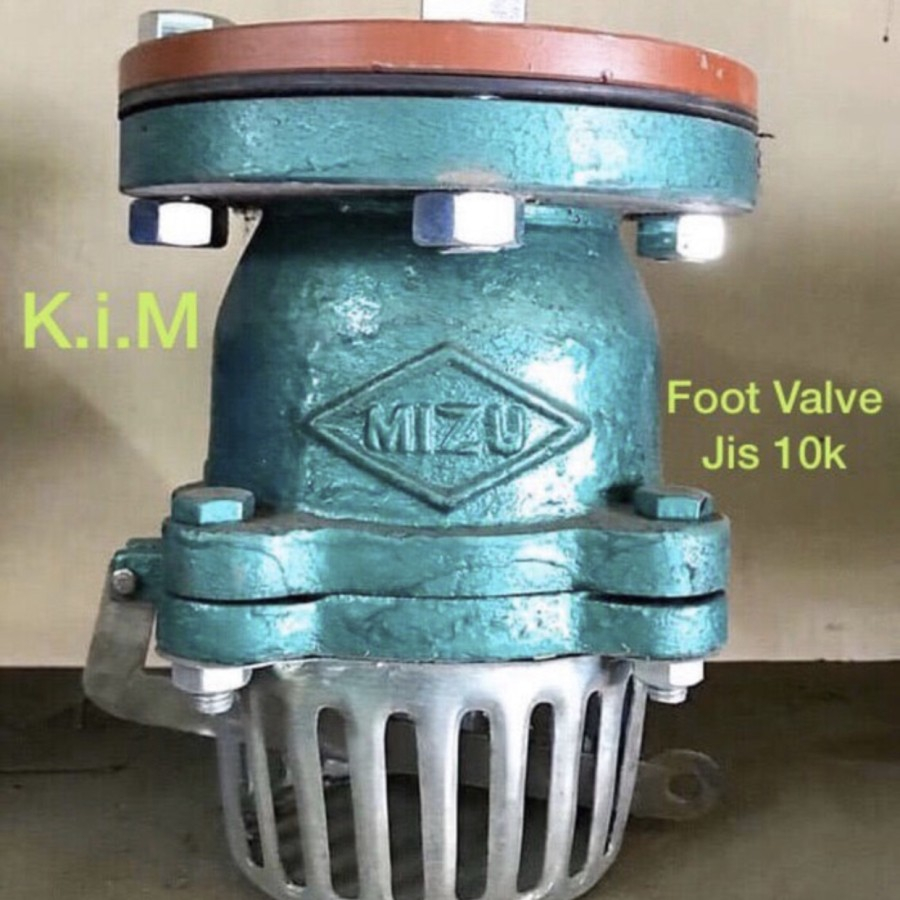 Jual Foot Valve Mizu Jis 10k 8” ( 8 inch ) Flange ; Cast iron | Shopee ...
