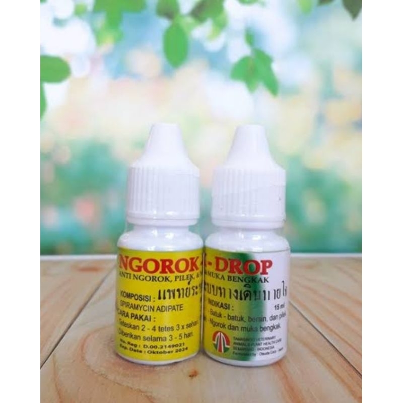 Jual 𝙉𝙂𝙊𝙍𝙊𝙆 𝘿𝙧𝙤𝙥 Anti Ngorok Batuk Bersin Pilek Muka Bengkak Ayam ...