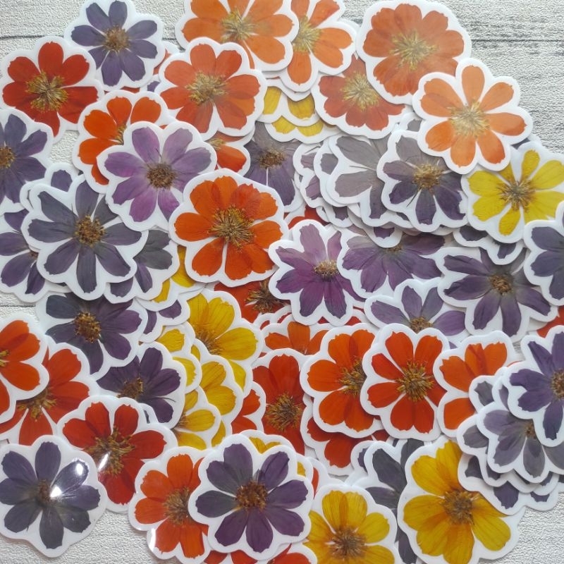 Jual Stiker Bunga Pres Asli / Real Pressed Flower Sticker Hiasan Jurnal ...