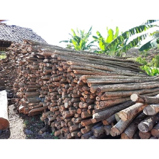 Jual Kayu Dolken Terlengkap & Harga Terbaru Mei 2024 | Shopee Indonesia
