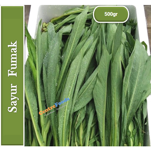 Jual Fumak Fresh - Bandung | 500gr [ Harga Per 0,5 Kg ] | Shopee Indonesia