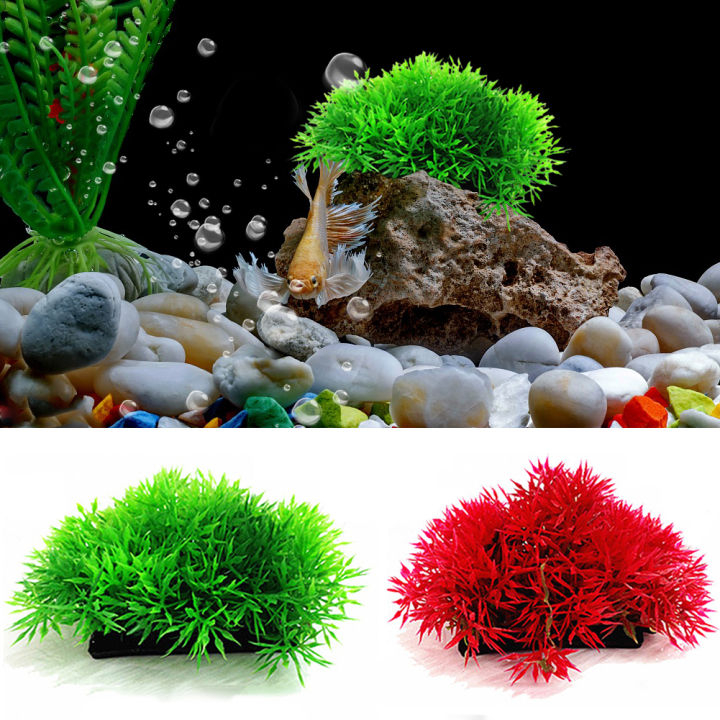 Jual Rumput Taman aquarium, taman rumput aquarium, hiasan aquarium ...