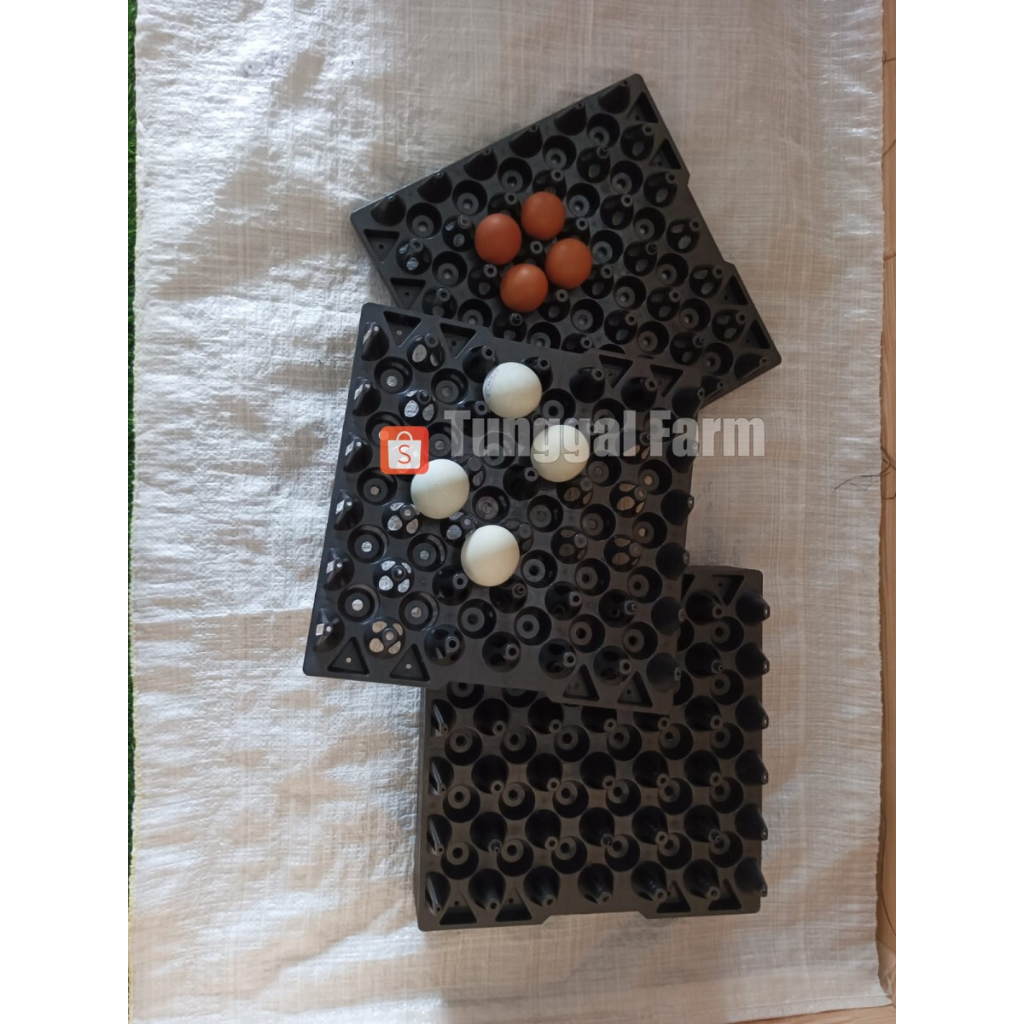 Jual EGG TRAY PLASTIK HITAM BESAR 10 BIJI /EGGTRAY/ TEMPAT TELUR/WADAH ...