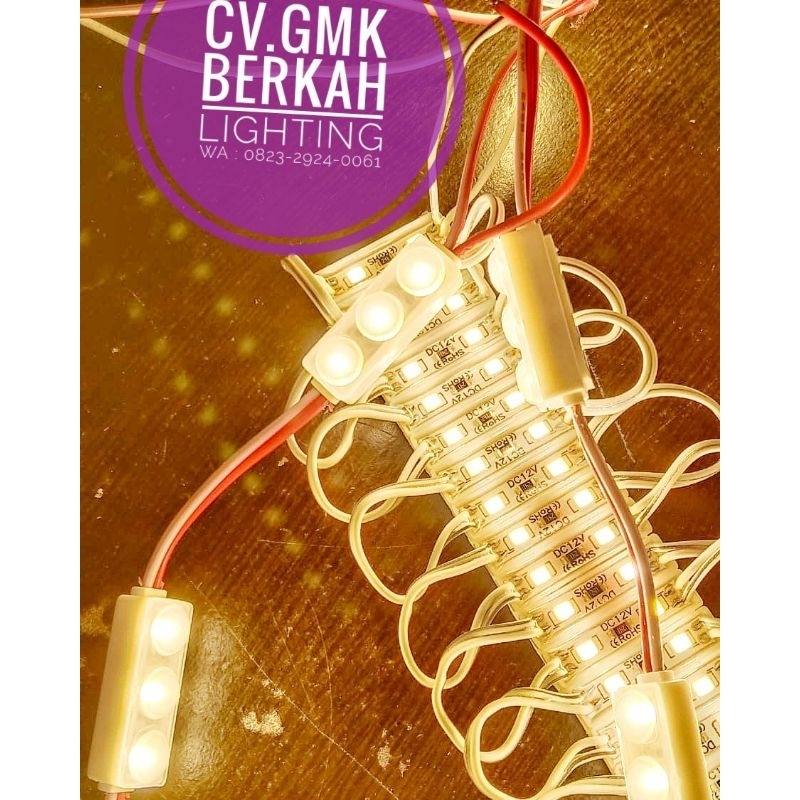 Jual LED MODUL MINI MATA 2 WARM WHITE (1 Pack=200) | Shopee Indonesia