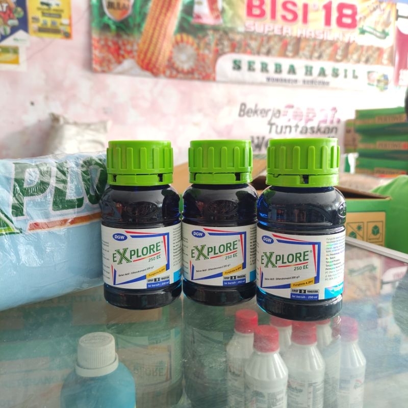 Jual fungisida EXPLORE 250sc 250ML( gratis 1 kaos selama persediaan ada ...