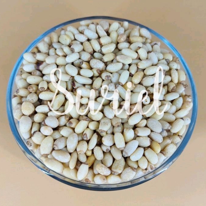 Jual Roasted pine nuts / kacang pinus panggang 1 kg | Shopee Indonesia