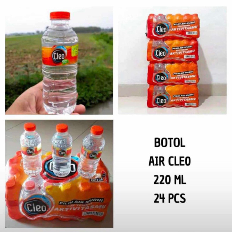 Jual CLEO AIR MINERAL BOTOL 220 ML dus isi 24 | Shopee Indonesia