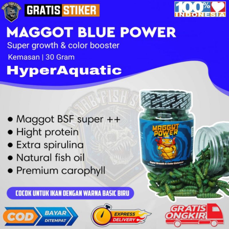 Jual PAKAN IKAN PREDATOR CHANA MAGOT KERING BLUE SUPER DUPER DISKON ...