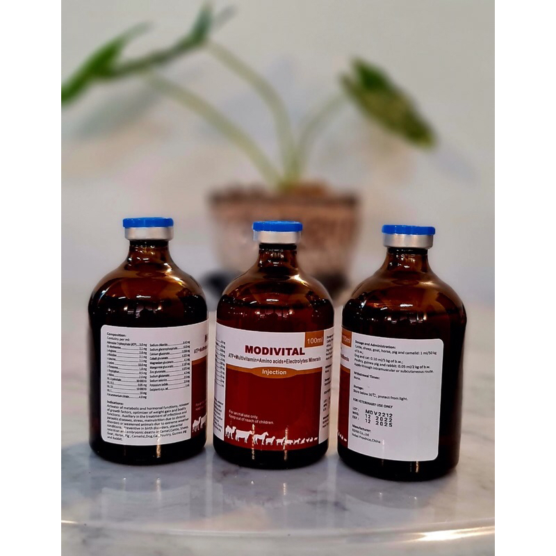 Jual MODIVITAL ATP 100 ML - Injeksi Multivitamin sama seperti ...