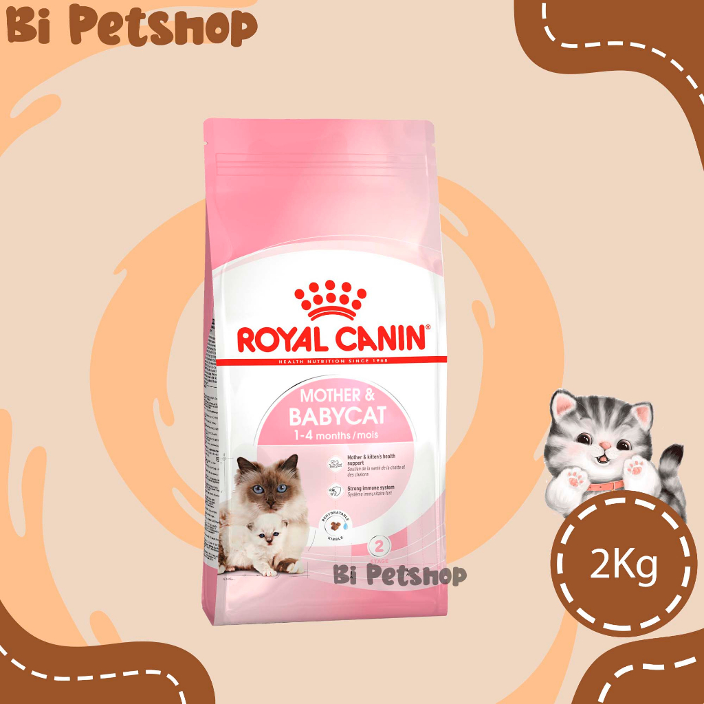 Jual Royal Canin Mother and Baby Cat 2Kg | Shopee Indonesia