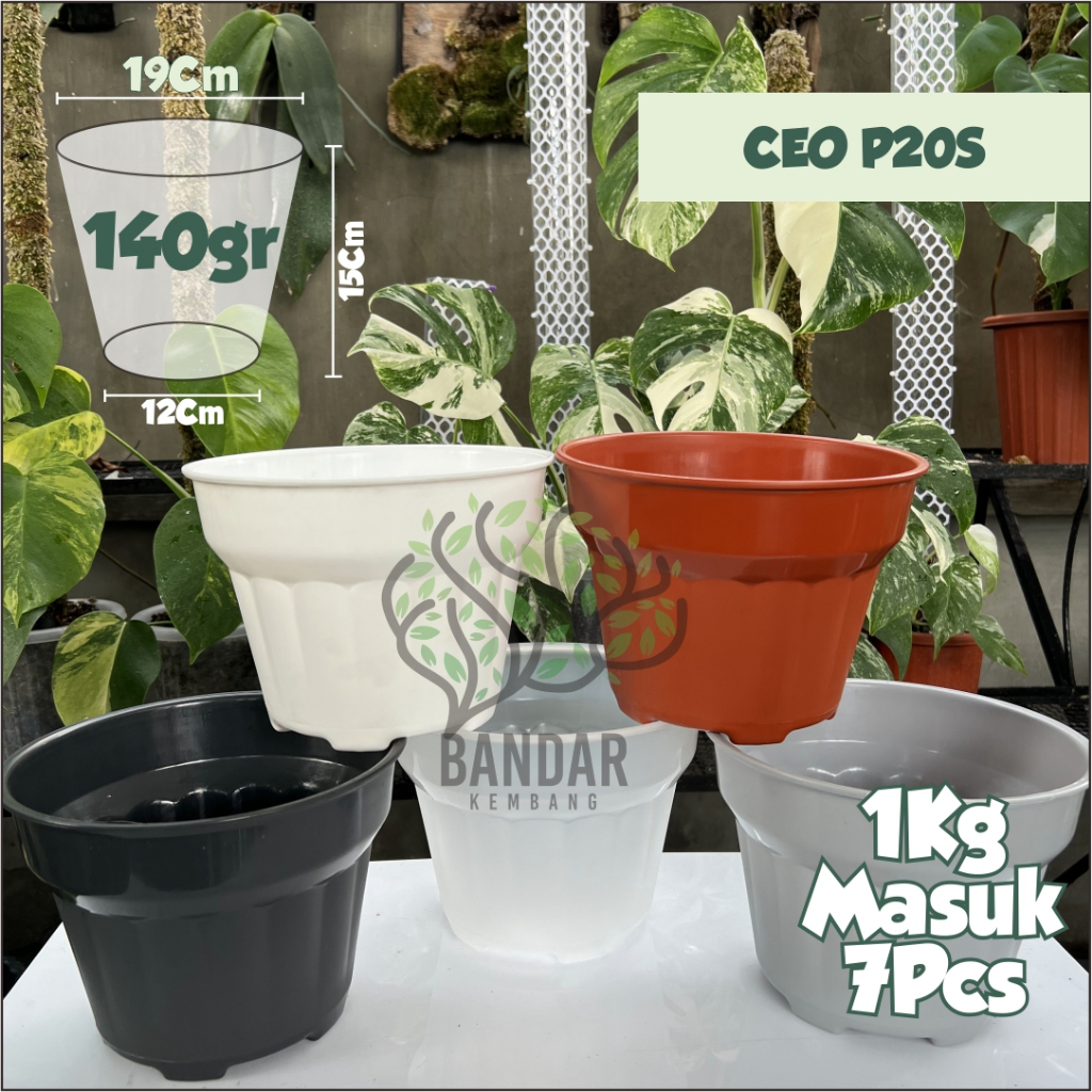 Jual pot bunga tanaman hias CEO P20S berbahan premium lentur warna ...