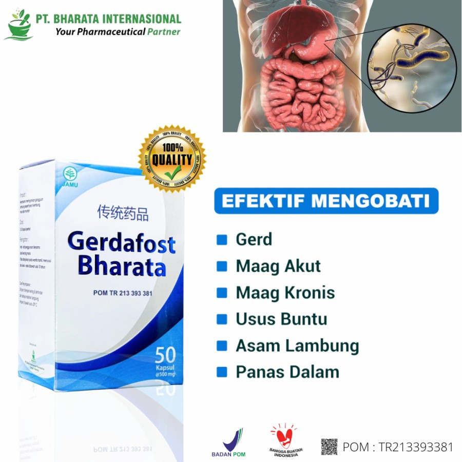 Jual Obat Usus Buntu, Radang Usus, Usus Besar Bermasalah, Maag Kronis ...