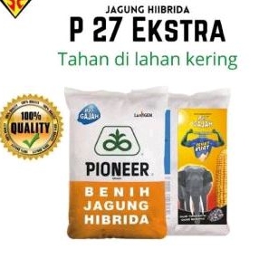 Jual Benih jagung hibrida Pioneer P27 lumigen gajah 1kg | Shopee Indonesia