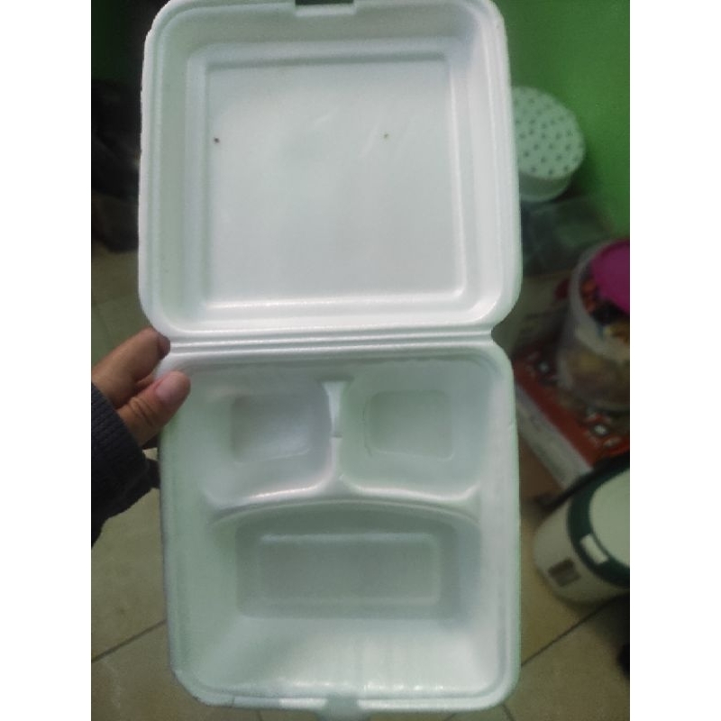 Jual Sterofoam / Box nasi/Lunchbox Nasi polos sekat 3 | Shopee Indonesia