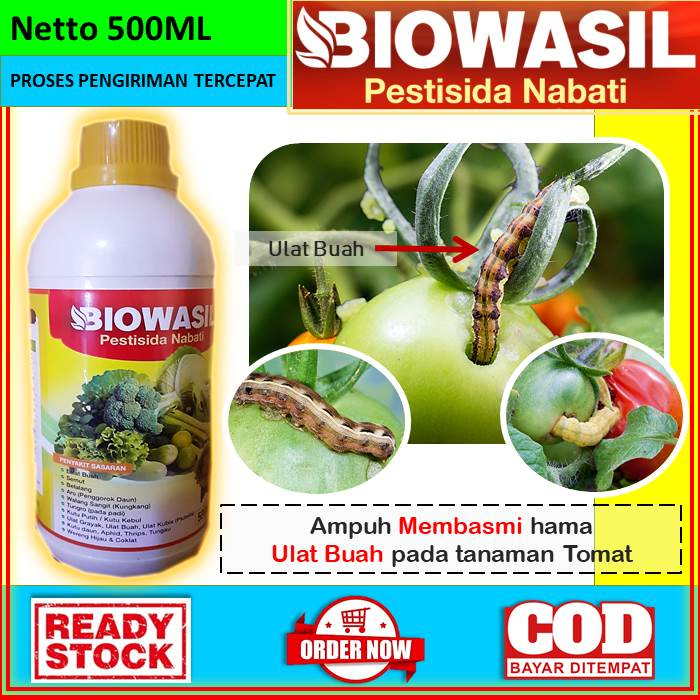 Jual OBAT ANTI HAMA ULAT BUAH UNTUK TANAMAN TOMAT [BIOWASIL] Obat Cair Pestisida Nabati Anti ...