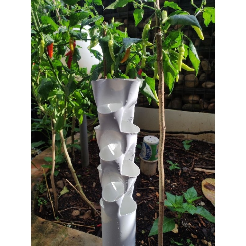 Jual POT VERTIKAL, POT VERTIKAL PIPA PVC 3" 50 CM , POT VERTIKAL 12 ...