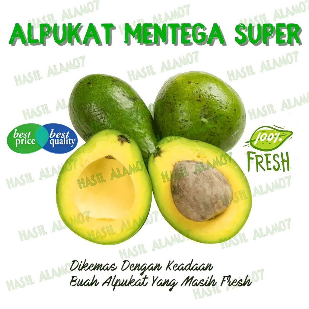 Jual Buah Alpukat Mentega Super Lokal Biasa Segar Fresh Fruits 1 Kg ...