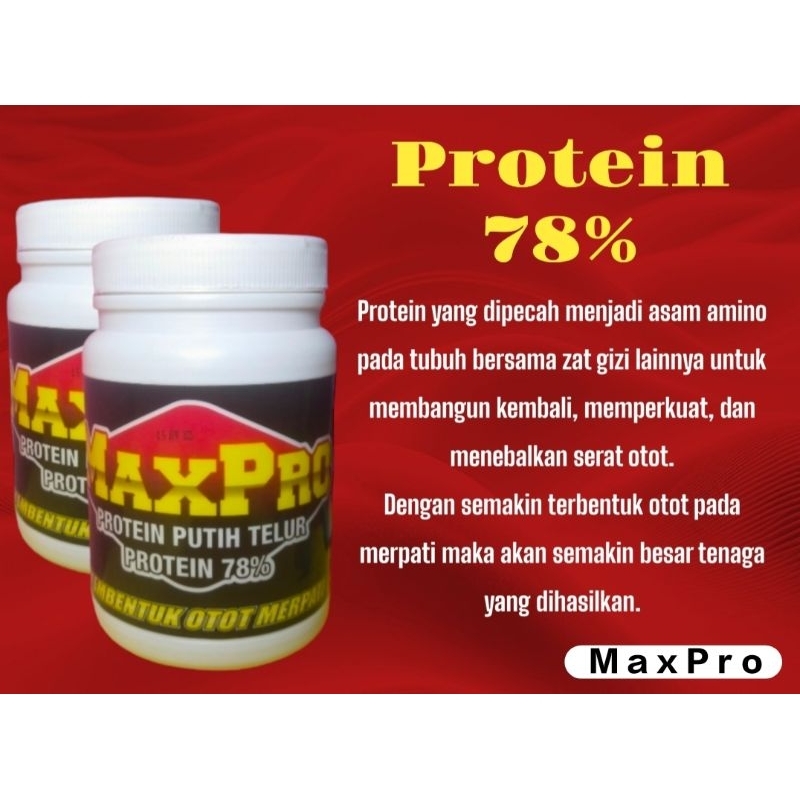 Jual Jamu Suplemen Vitamin MaxPro isi 60 butir | Shopee Indonesia