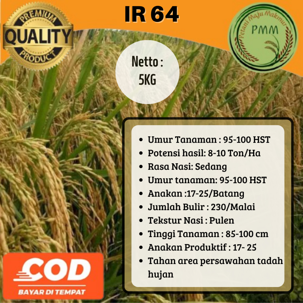 Jual Biji Padi IR64 Premium 5KG IR 64 | Shopee Indonesia