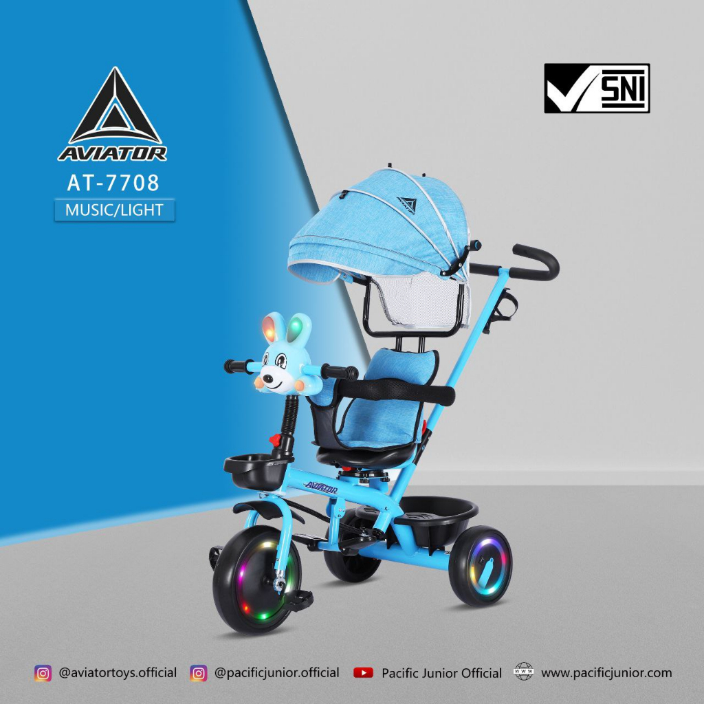 Jual SEPEDA RODA TIGA ANAK SEAT BOLAK-BALIK||TRICYCLE ANAK MOTIF ...