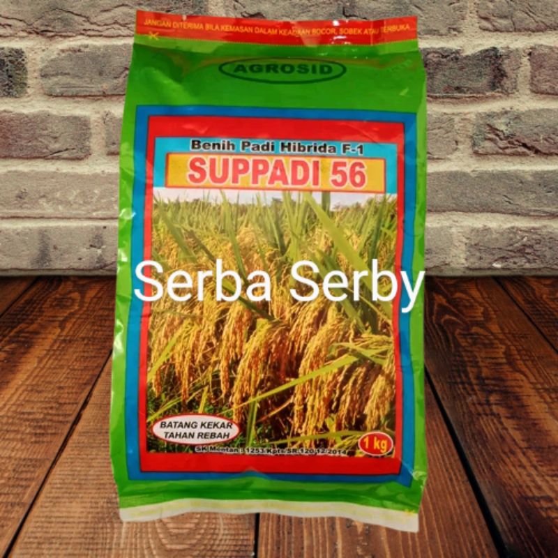 Jual Benih Padi Hibrida F-1 Agrosid Suppadi 56 1 kg 100%Ori Serba Serby ...