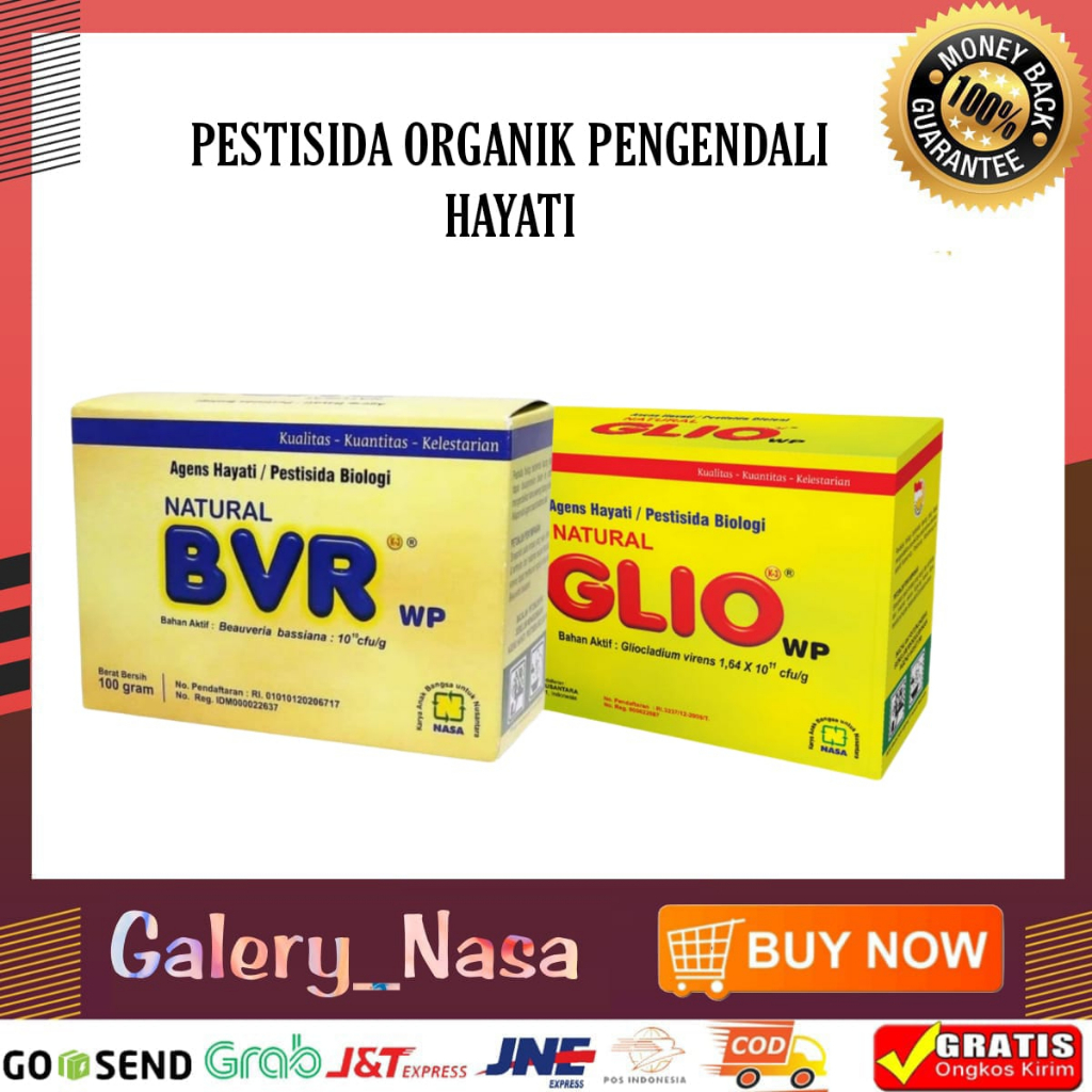 Jual paket pestisida organik pengendali penyakit jamur bvr nasa natural glio (BVR/GLIO) | Shopee ...