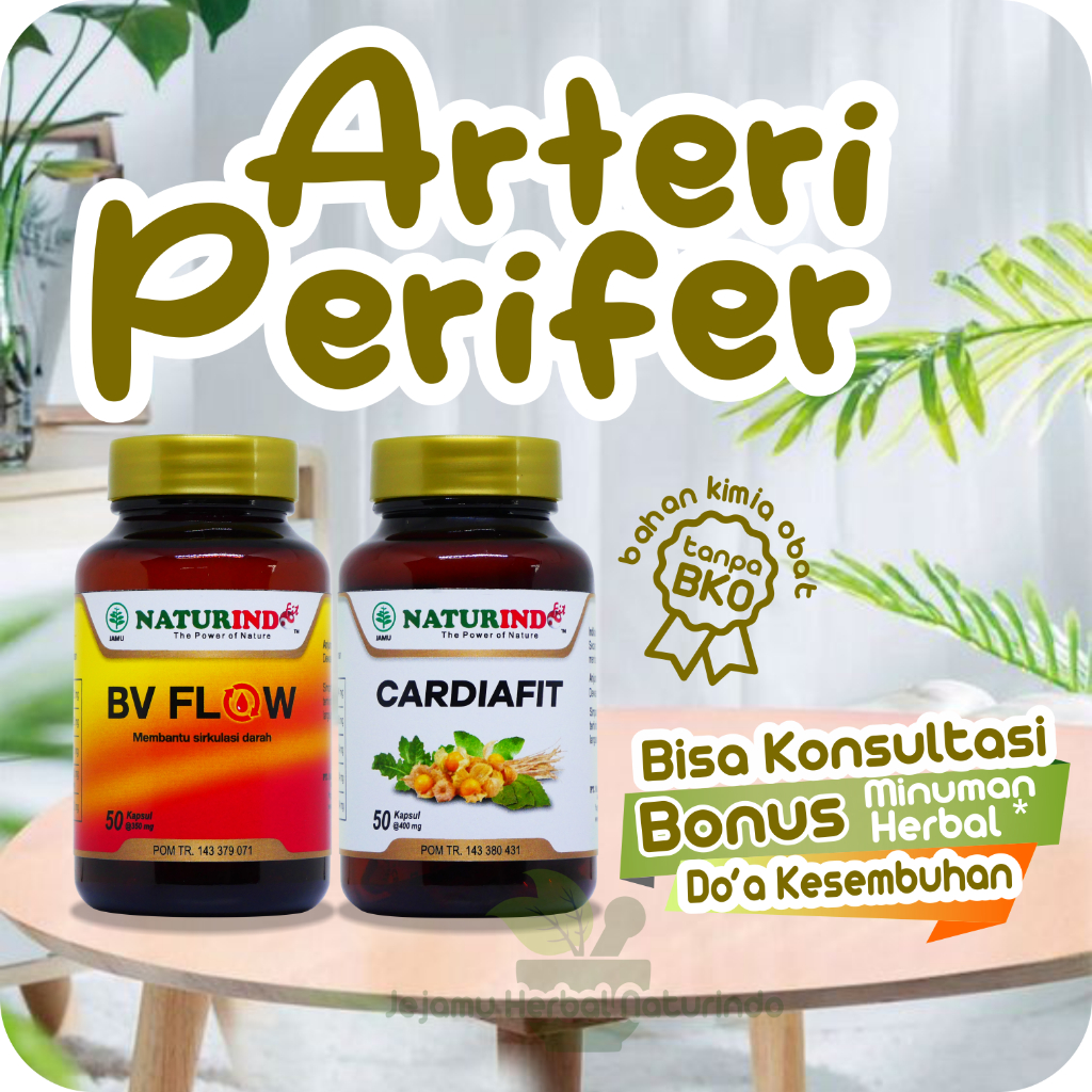 Jual Obat herbal arteri perifer vaskular PAD penyumbatan sirkulasi darah penyempitan pembuluh ...