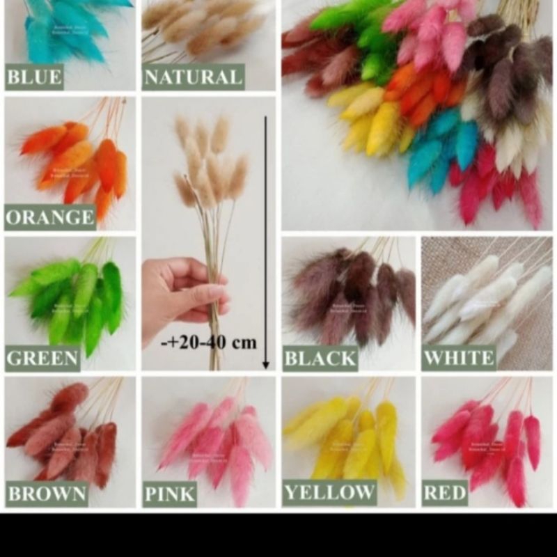 Jual Topper Ilalang, Artificial Bunny Tail, Hiasan Kue Bunga Rumput ...
