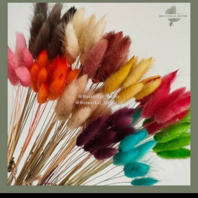 Jual Topper Ilalang, Artificial Bunny Tail, Hiasan Kue Bunga Rumput ...