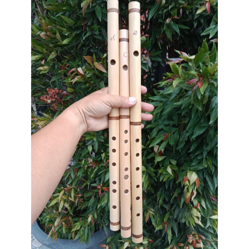 Jual SULING Bambu Suling DANGDUT 1 Set A C G (ISI 3 PCS) | Shopee Indonesia