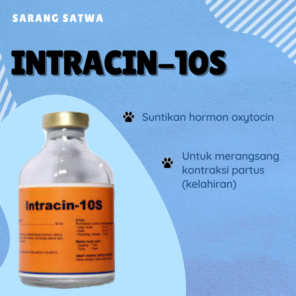 Jual INTRACIN 10S HORMON PERANGSANG KONTRAKSI UTERUS, KELENJAR SUSU ...