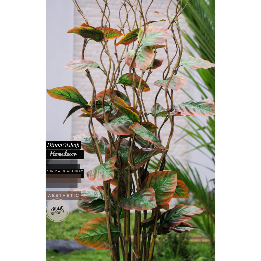 Jual Perlengkapan Rumah Bunga Dekorasi 25 Btg Bambu Ulir Natural Daun Alpukat 190 Cm Tanpa Pot