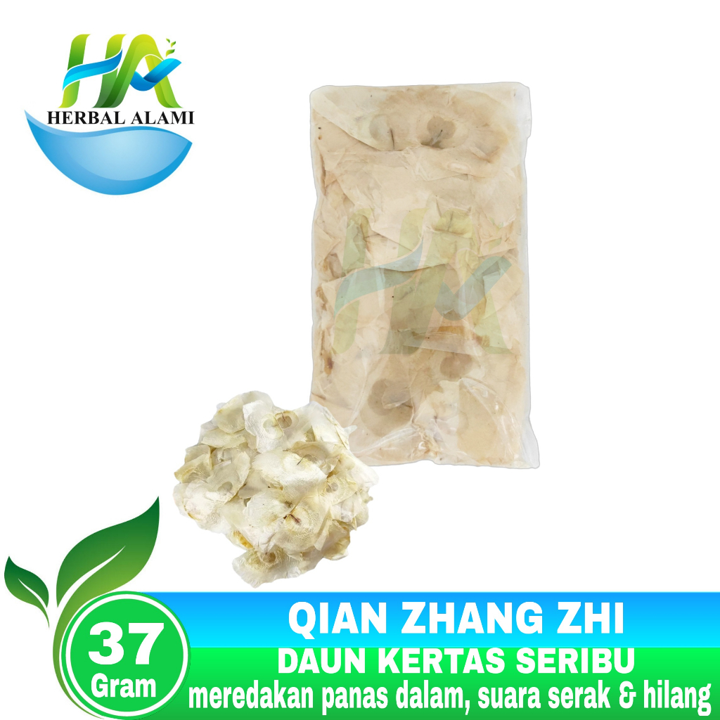 Jual Qian Zhang Zhi Daun Kertas Seribu Untuk Suara Serak | Shopee Indonesia